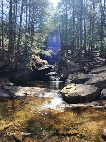 Best Hikes and Trails in Seven Tubs Recreation Area | AllTrails