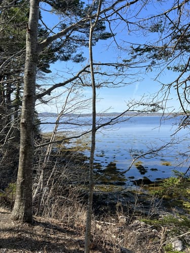 Best Hikes and Trails in Moose Point State Park | AllTrails