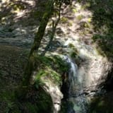 Dawn Falls Trail Loop, California - 731 Reviews, Map | AllTrails