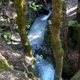 Dawn Falls Trail Loop, California - 731 Reviews, Map | AllTrails