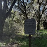 Morgan Trail, California - 453 Reviews, Map | AllTrails