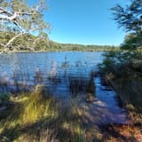 Poona Lake, Queensland, Australia - 68 Reviews, Map | AllTrails