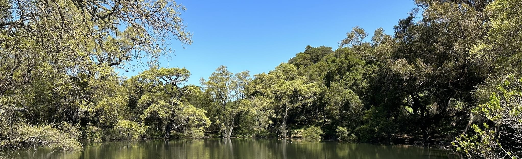 Zinfandel Trail, California - 1,750 Reviews, Map | AllTrails