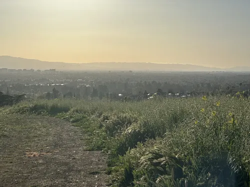 Best Hikes and Trails in Groesbeck Hill Park | AllTrails