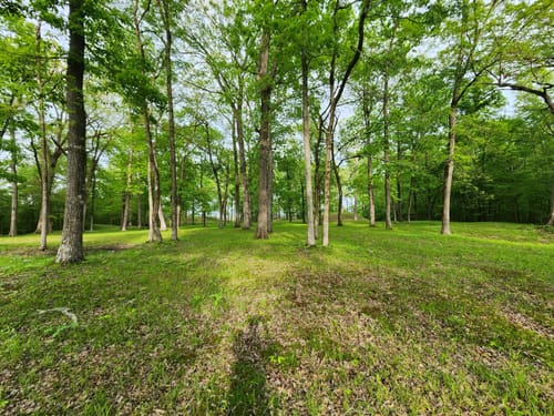 Best Hikes and Trails in Shiloh National Military Park | AllTrails