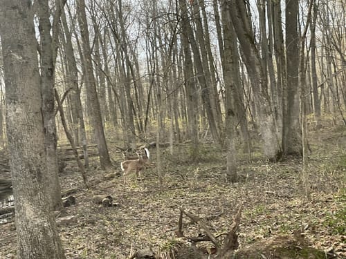 Best Hikes and Trails in Burchfield Park | AllTrails