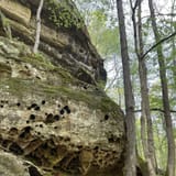 Ox Lot Cave via Rim Trail, Illinois - 345 Reviews, Map | AllTrails