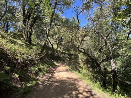 Best Hikes and Trails in Roberts Regional Recreation Area | AllTrails