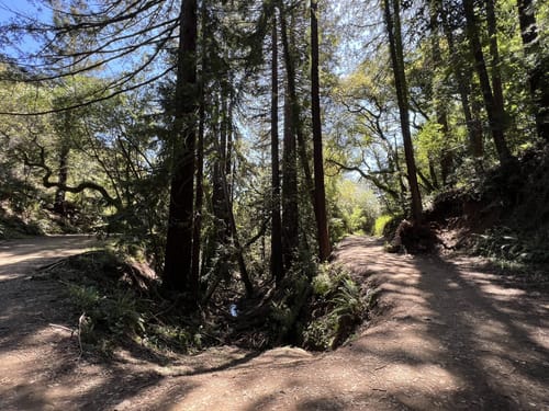 Best Hikes and Trails in Roberts Regional Recreation Area | AllTrails