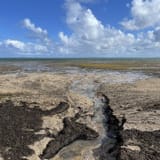 Corinella to Coronet Bay Coastal Walk, Victoria, Australia - 66 Reviews ...