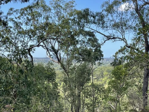 Best Hikes and Trails in Keperra Bushland Reserve | AllTrails