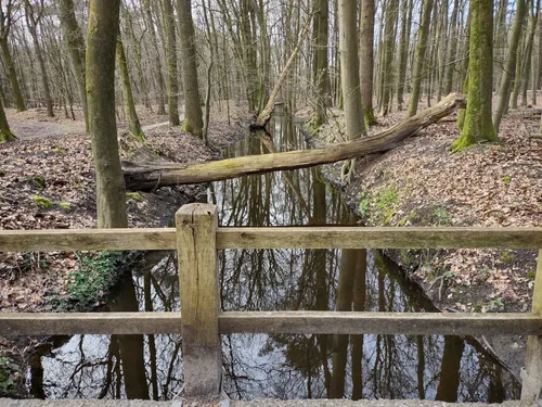 10 Best Waterfall Trails in Netherlands | AllTrails