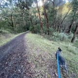 Cardinia Aqueduct Trail, Victoria, Australia - 274 Reviews, Map | AllTrails