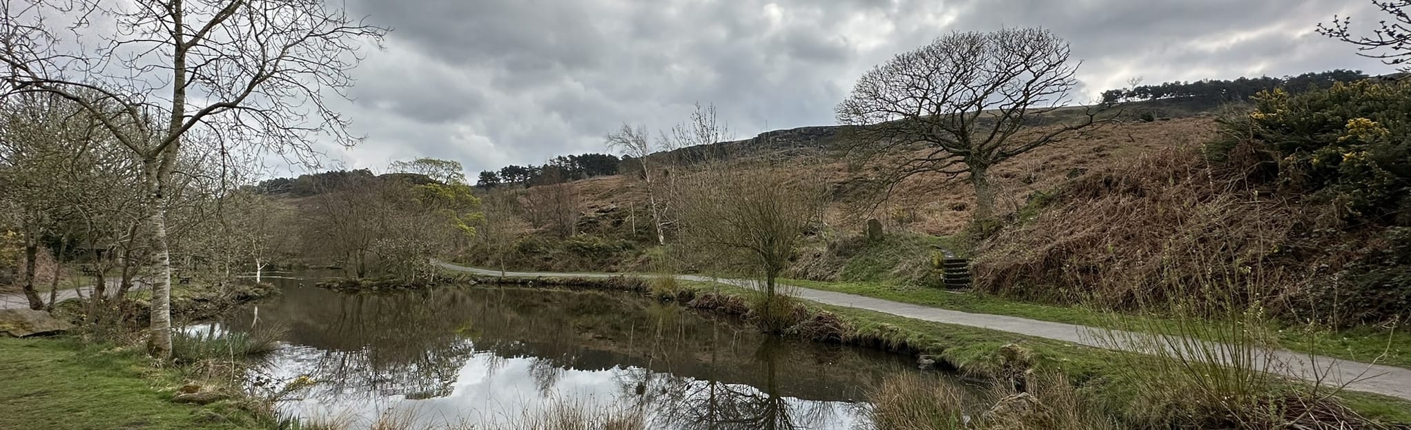 Ilkley, Cranshaw Thorn Hill and Rombald's Moor Circular: 429 foto's ...