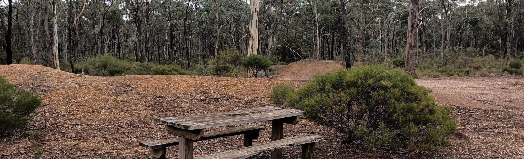 Bendigo Bushland Trail Loop: 5 Fotos - Victoria, Australien | AllTrails