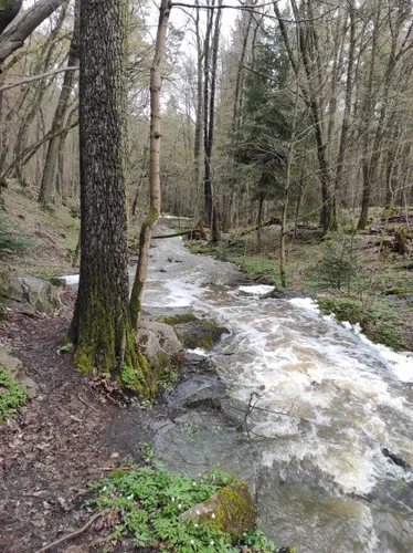 2023 Best 10 Walking Trails in Chráněná krajinná oblast (CHKO ...