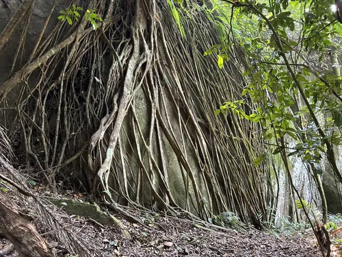 Best Hikes and Trails in Simpang Pertang | AllTrails