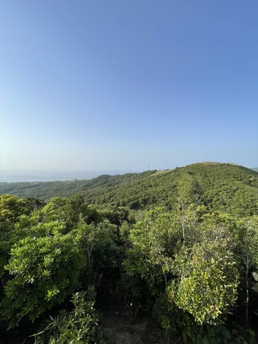 Best Hikes and Trails in Uruma Shiminnomori Park | AllTrails