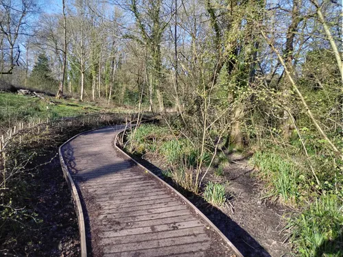 Best Hikes and Trails in Rowhills Copse Nature Reserve | AllTrails