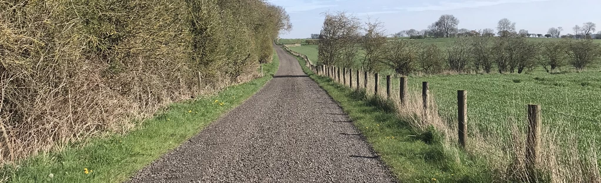 Castle Eden Walkway, North Yorkshire, England - 37 Reviews, Map | AllTrails