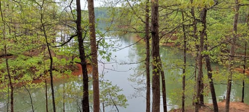 Best Hikes and Trails in Tugaloo State Park | AllTrails