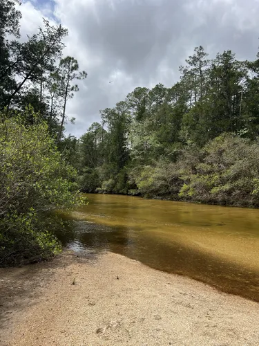 10 Best Hikes and Trails in Blackwater River State Forest | AllTrails