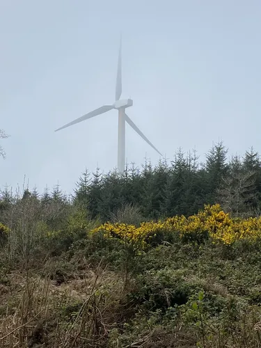 Best River Trails in Portlaw | AllTrails