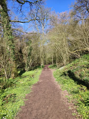 10 Best Trails, Walks, and Paths in Wells | AllTrails