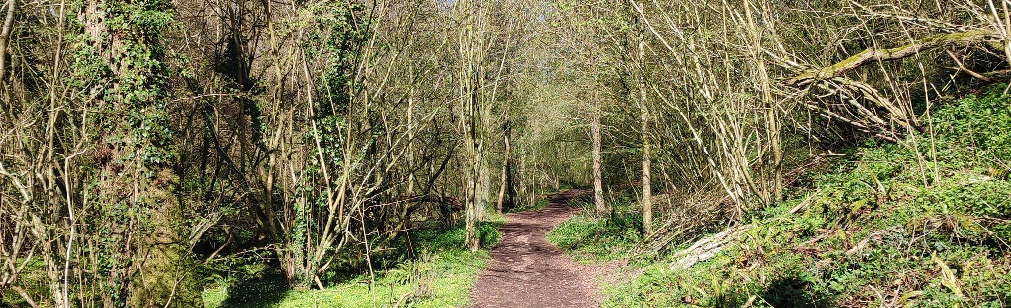 Ebbor Gorge and Wookey Hole, Somerset, England - 32 Reviews, Map ...