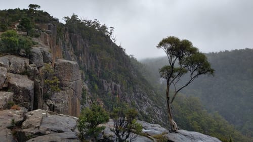 Best Hikes and Trails in Snug Tiers Nature Recreation Area | AllTrails