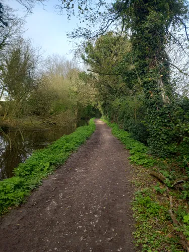 Best Hikes and Trails in Weston Turville Reservoir | AllTrails