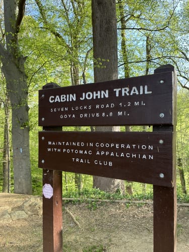 Best Hikes and Trails in Cabin John Regional Park | AllTrails