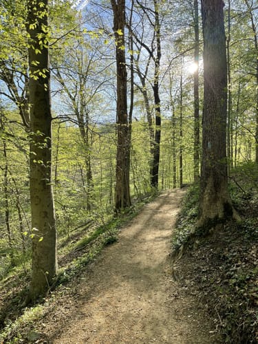 Best Hikes and Trails in Cabin John Regional Park | AllTrails