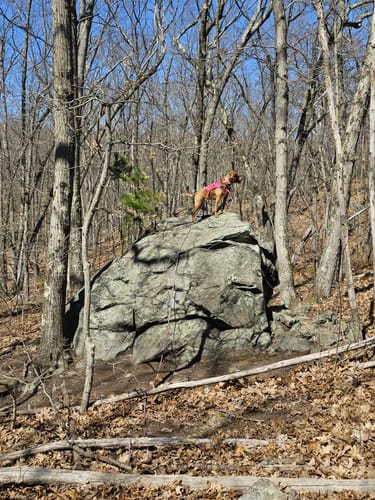 Best Hikes and Trails in Whipple Hill Conservation Lands | AllTrails