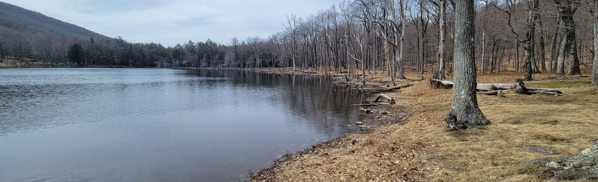 AllTrails | Echo Lake: 349 Reviews, Map - New York