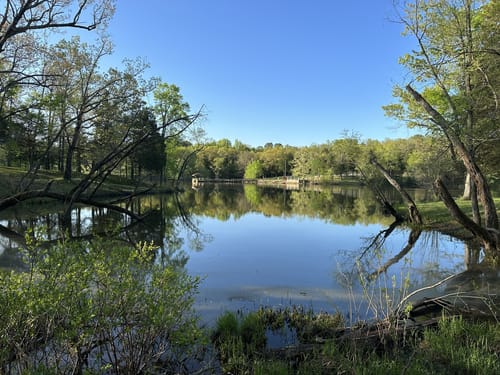 Best Hikes and Trails in Lake Charles State Park | AllTrails