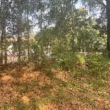 Seminole Wekiva Trail, Florida - 878 Reviews, Map | AllTrails