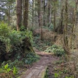 Hidden Beach Trail from Hwy 101, California - 60 Reviews, Map | AllTrails
