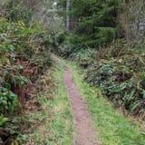 Hidden Beach Trail from Hwy 101, California - 60 Reviews, Map | AllTrails