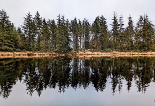 2023 Best 10 Walking Trails in Hawkshead | AllTrails