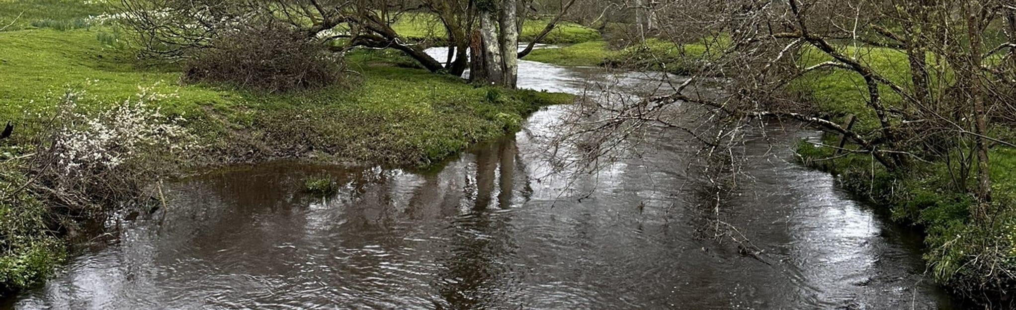Boldre Village Walk: 81 Reviews, Map - Hampshire, England | AllTrails