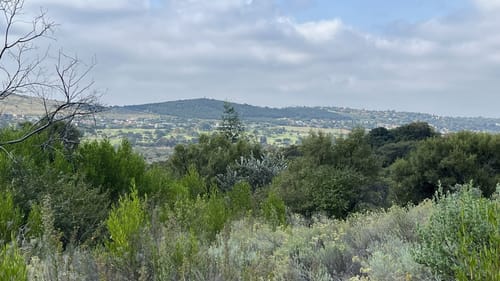 Best Hikes and Trails in Groenkloof Nature Reserve | AllTrails