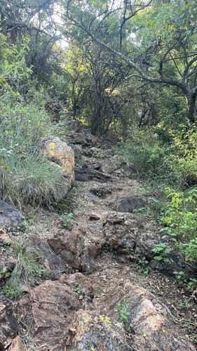 Best Hikes and Trails in Groenkloof Nature Reserve | AllTrails