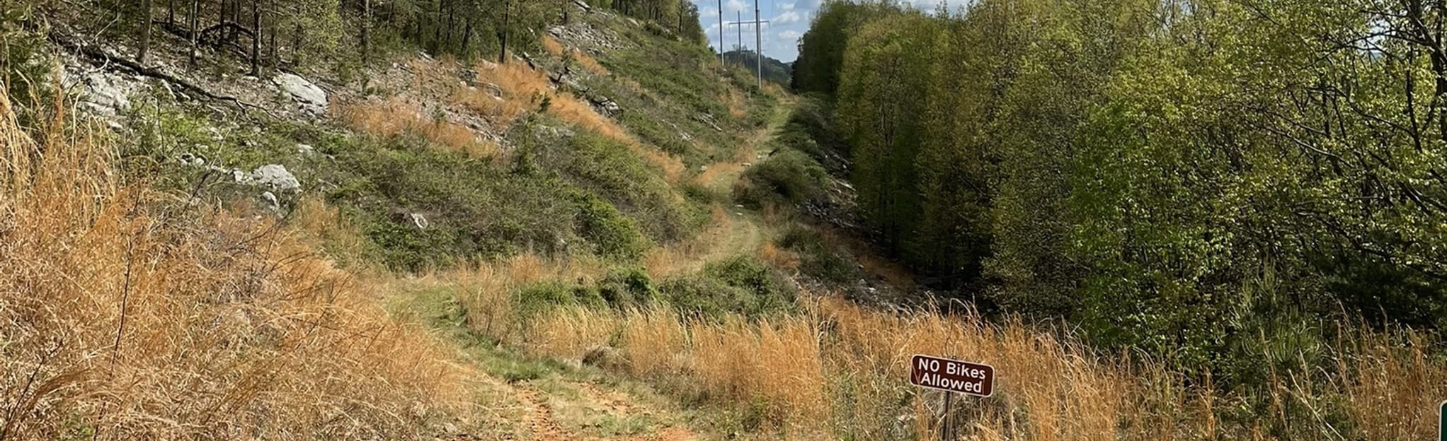 Buzzard's Roost: 251 Reviews, Map - Georgia | AllTrails