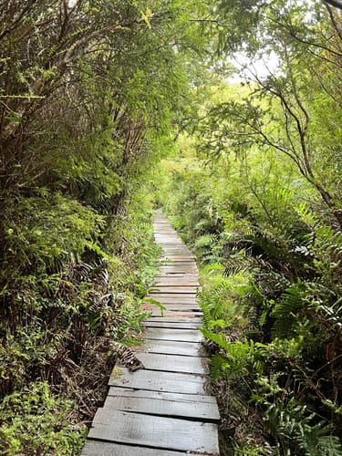 Best Hikes and Trails in Chiloé National Park | AllTrails