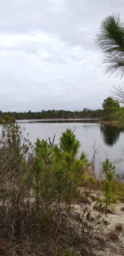 Best Hikes and Trails in Holly Ridge | AllTrails