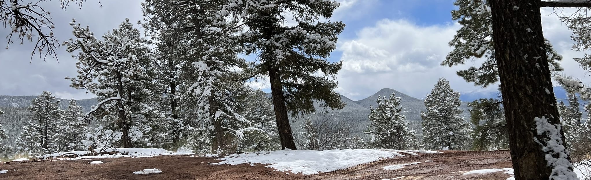 Illinois Gulch OHV Trail, Colorado - 122 Reviews, Map | AllTrails