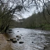 Hackfall Explorer, North Yorkshire, England - 347 Reviews, Map | AllTrails