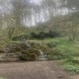 Hackfall Explorer, North Yorkshire, England - 347 Reviews, Map | AllTrails