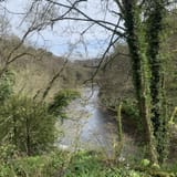 Hackfall Explorer, North Yorkshire, England - 347 Reviews, Map | AllTrails